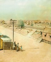 Tea and Sugar Christmas by Jane Jolly | 9781922507402 | Booktopia