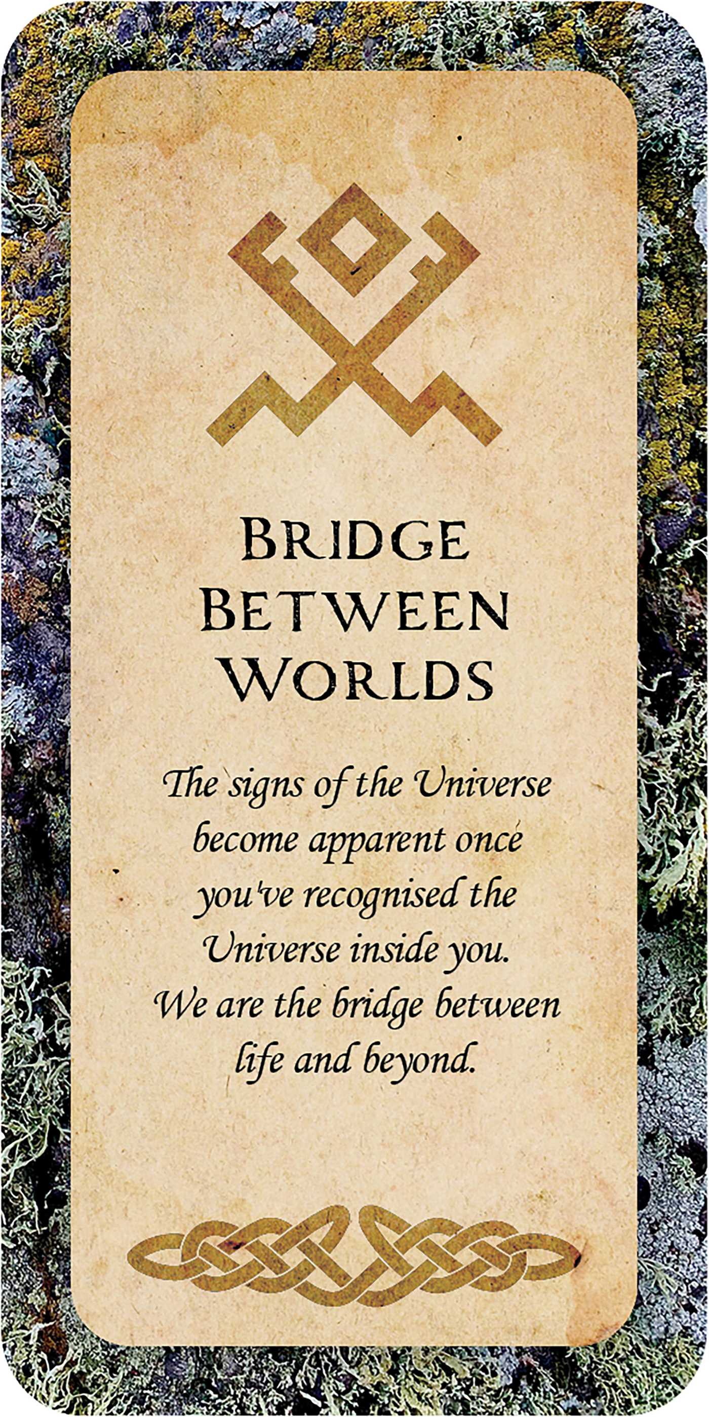 Druid Wisdom, 40 rounded corner cards + 1 box with 1 magnet by Andres ...