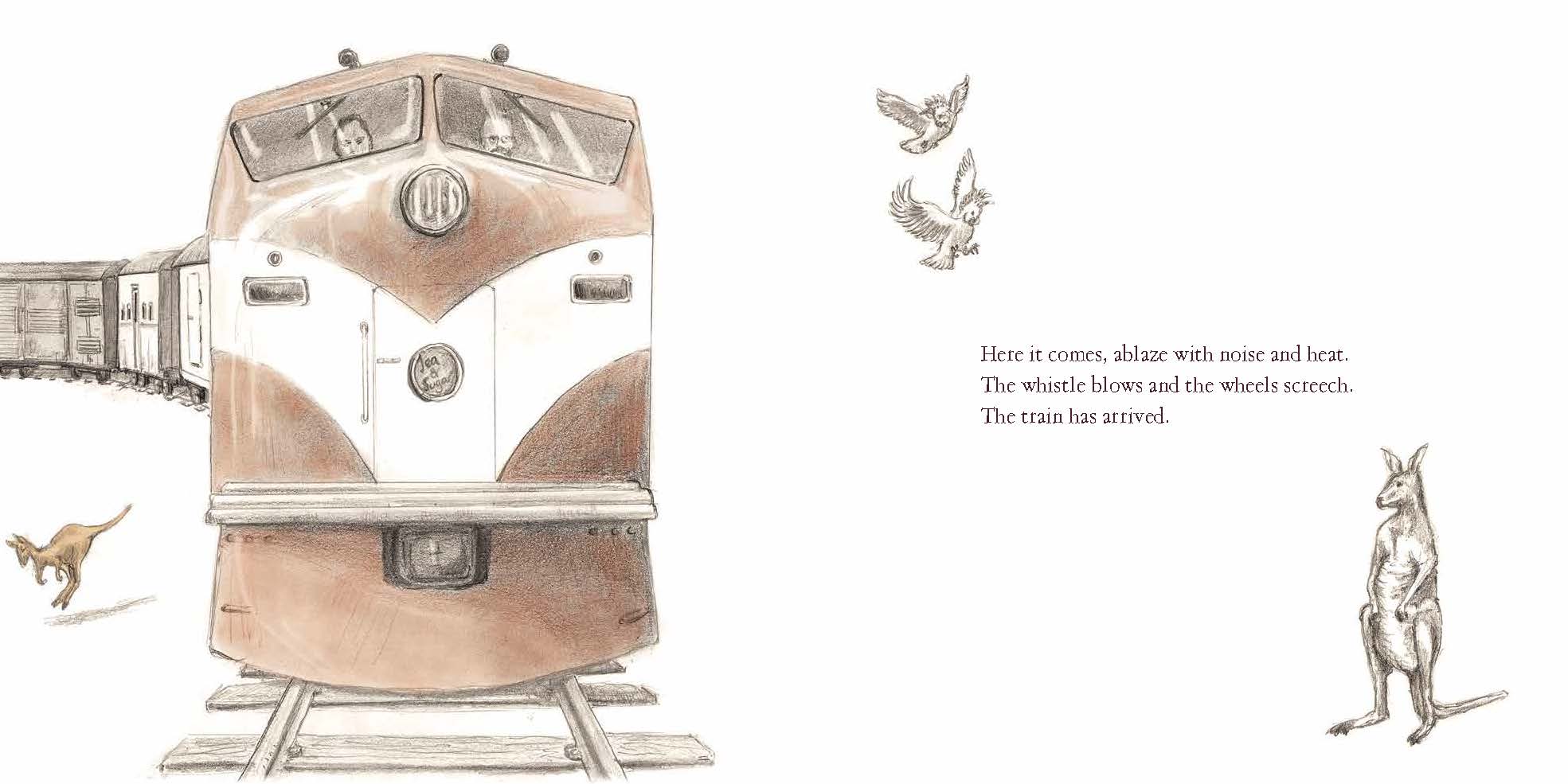 The Shop Train by Josie Wowolla Boyle | 9781922613233 | Booktopia