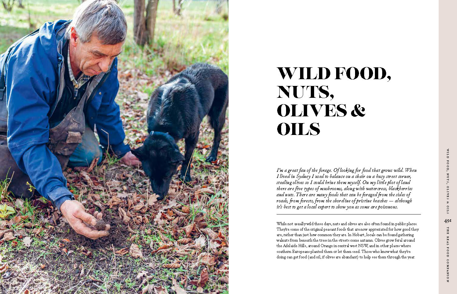 The Real Food Companion, Fully revised and updated by Matthew Evans ...