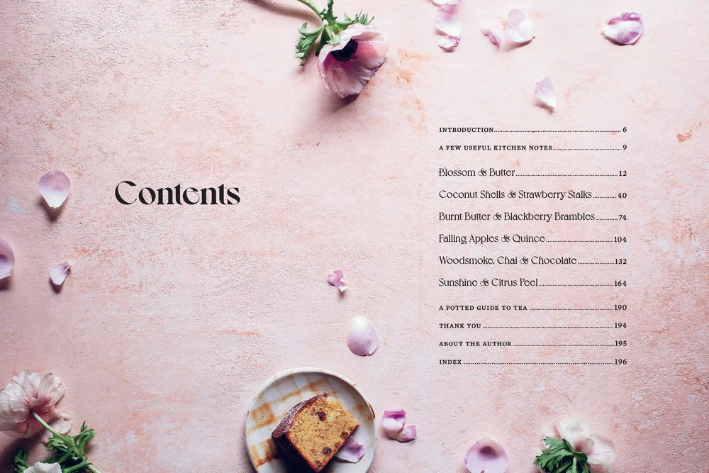 The Plain Cake Appreciation Society, 52 weeks of cake by Tilly Pamment ...