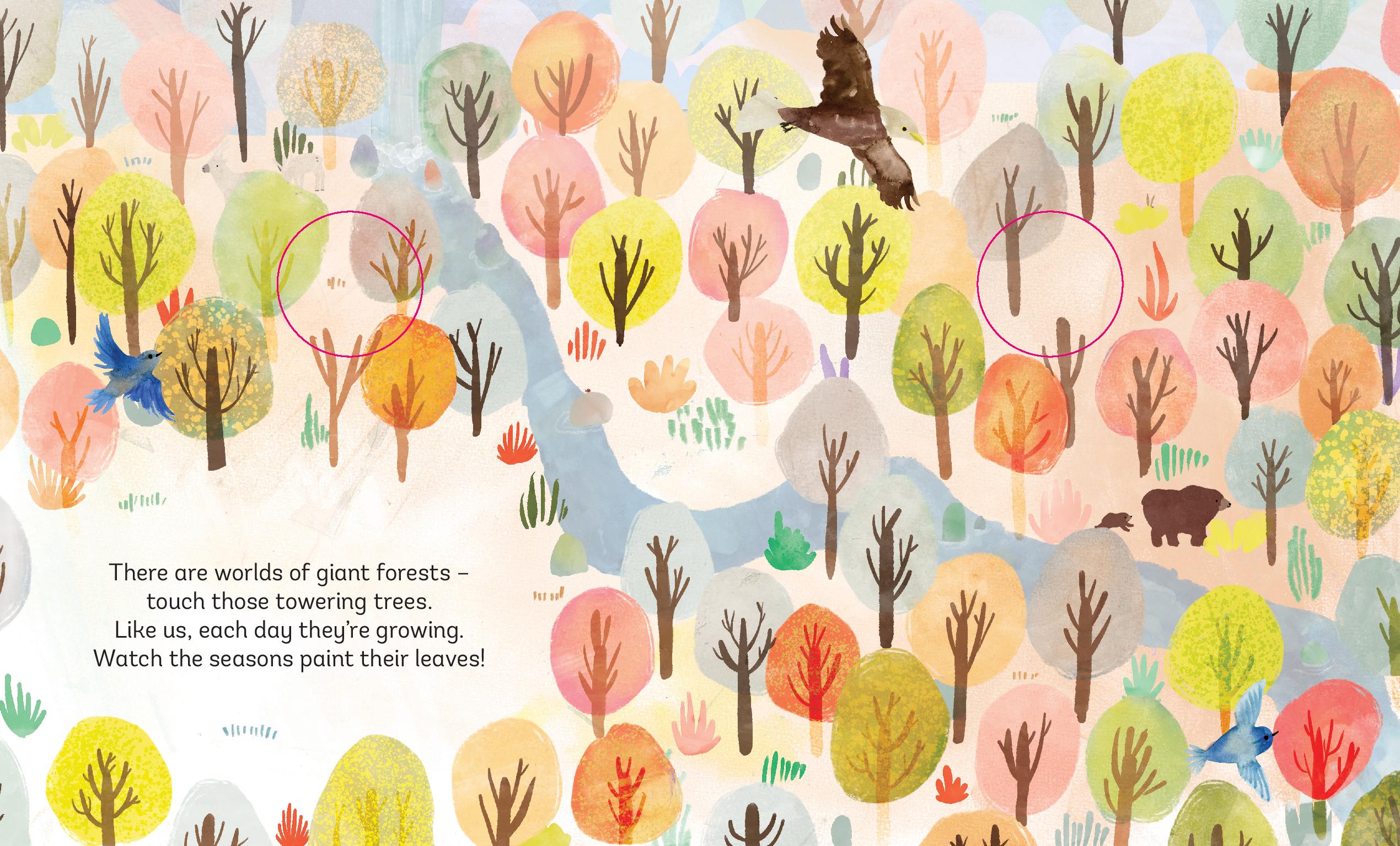 Big World, Tiny World by Jess Racklyeft | Forest | 9781922626752 ...