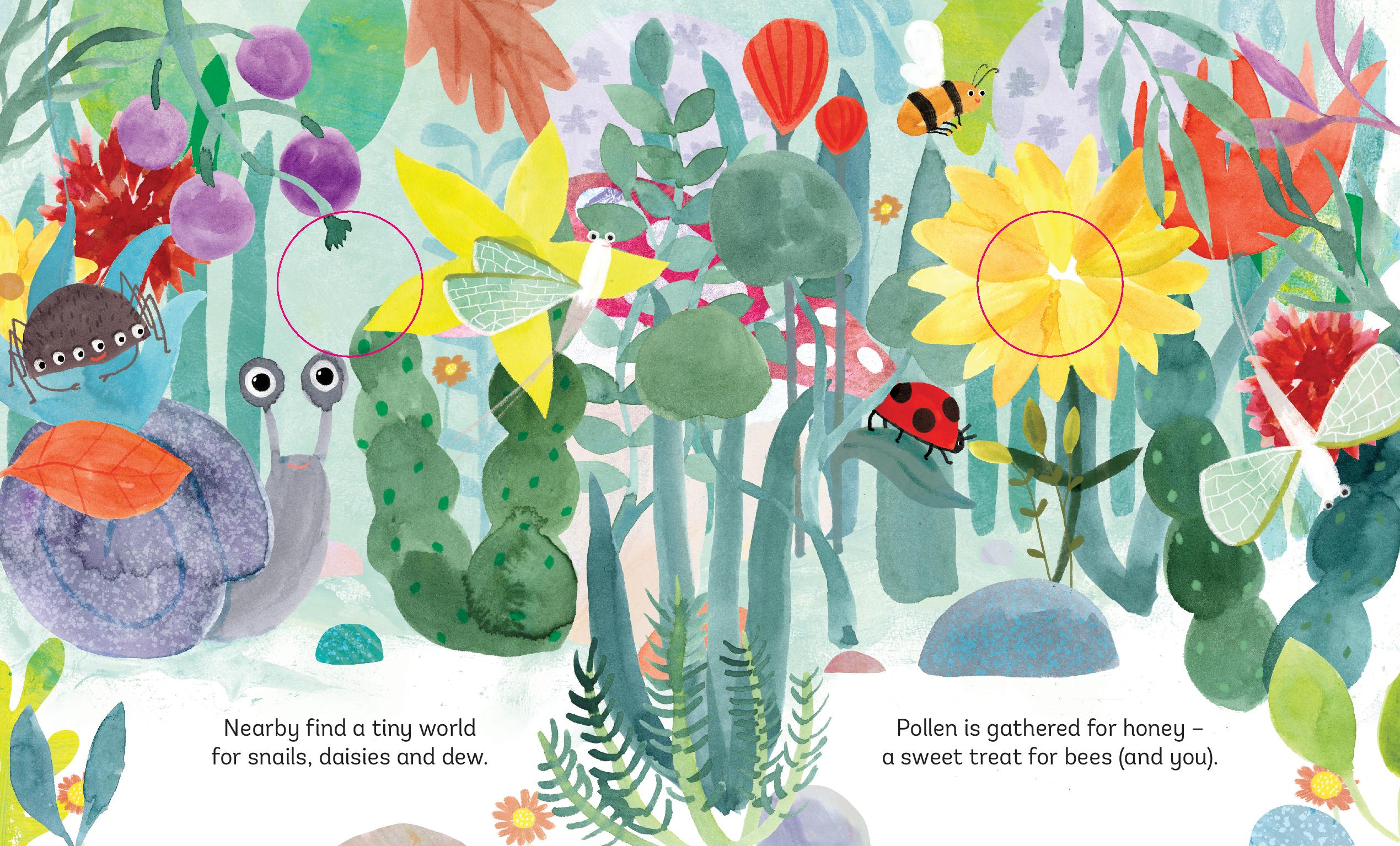 Big World, Tiny World by Jess Racklyeft | Forest | 9781922626752 ...