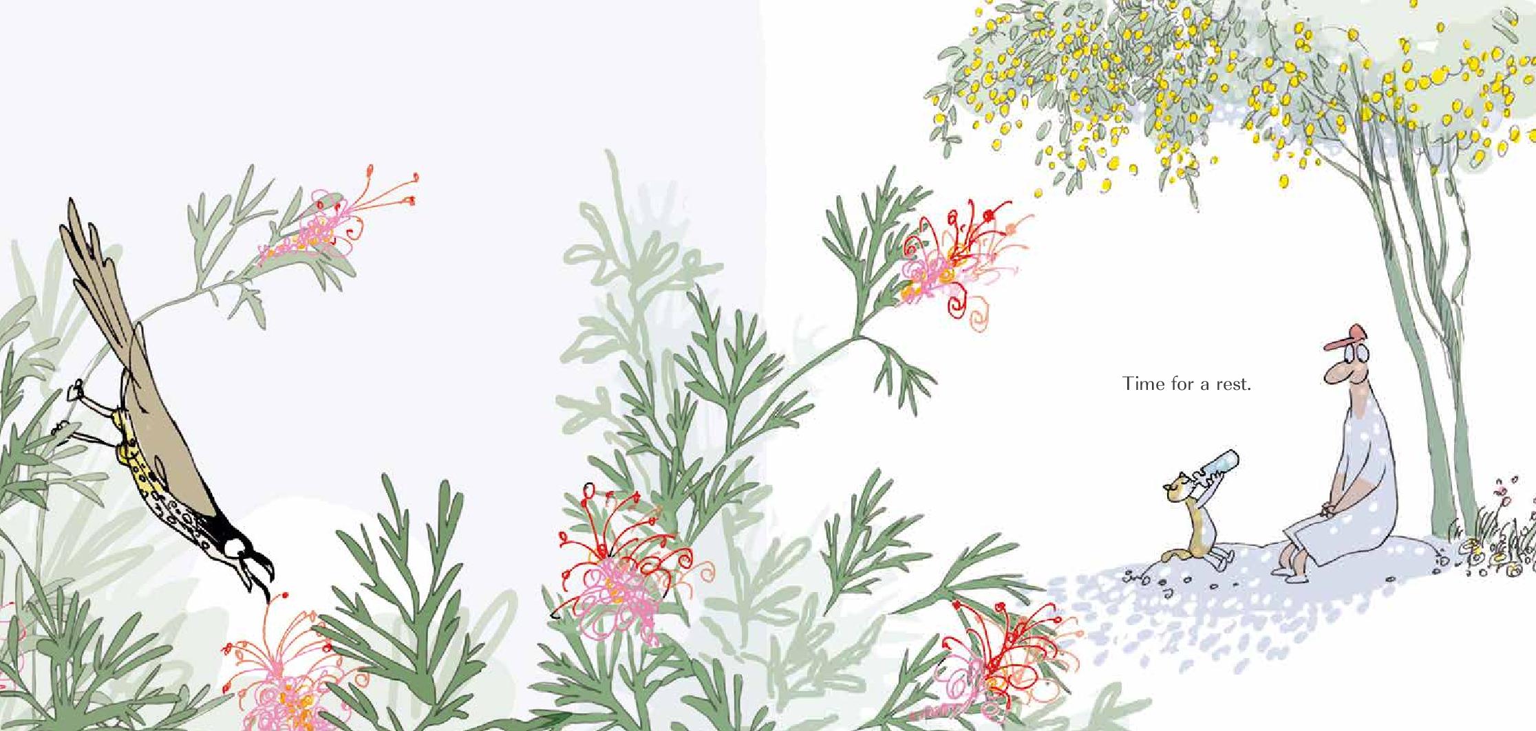 Let's Go to the Bush by Gwyn Perkins | 9781922626899 | Booktopia