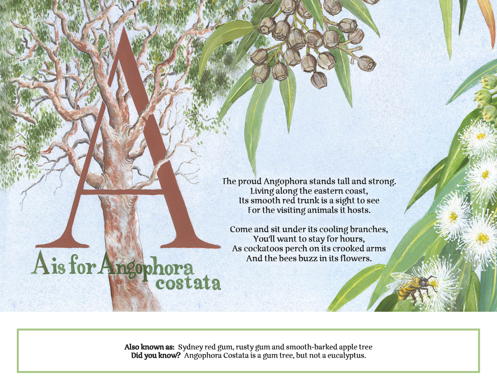 Aussie Native Plants A-Z by Joey Farrell | 9781922643551 | Booktopia