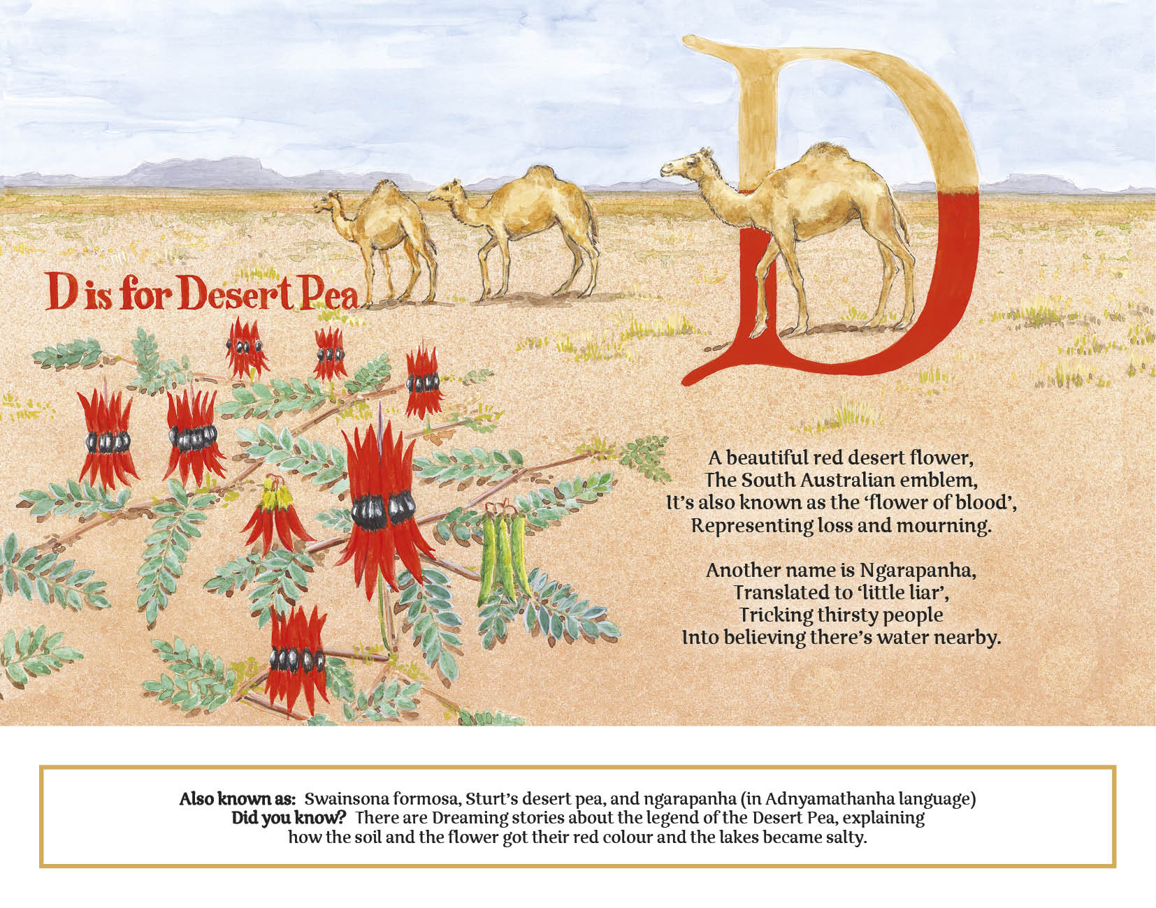 Aussie Native Plants A-Z by Joey Farrell | 9781922643551 | Booktopia