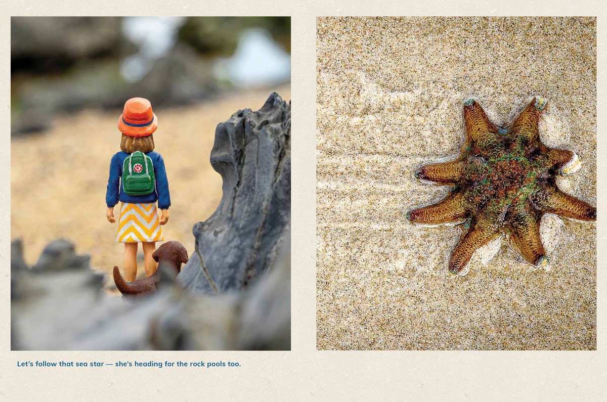 Rockpooling With Pup by Kevin Brophy | 9781922696137 | Booktopia