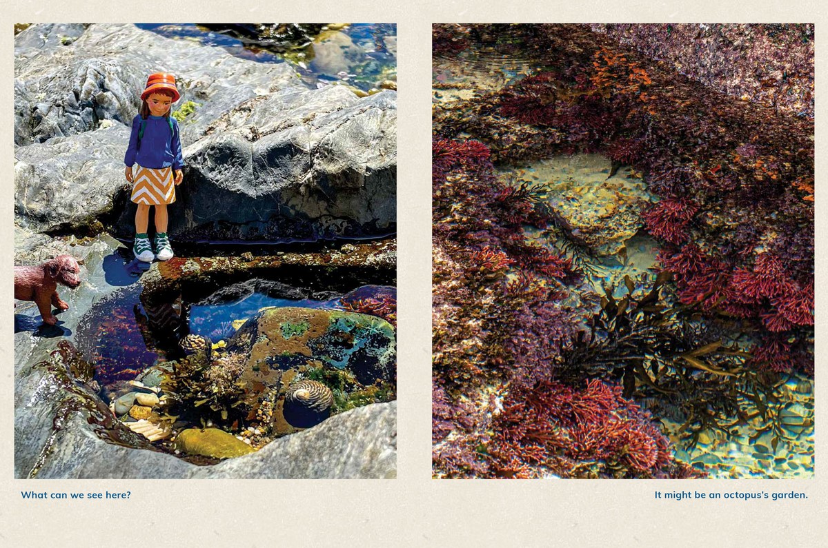Rockpooling With Pup by Kevin Brophy | 9781922696137 | Booktopia