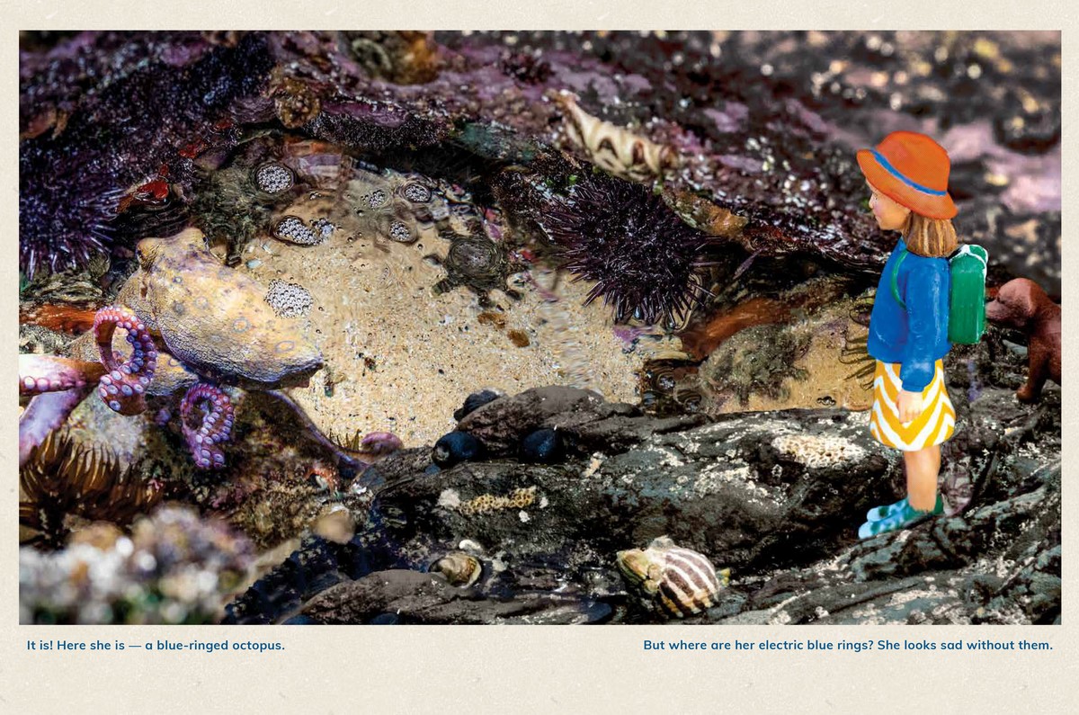 Rockpooling With Pup by Kevin Brophy | 9781922696137 | Booktopia