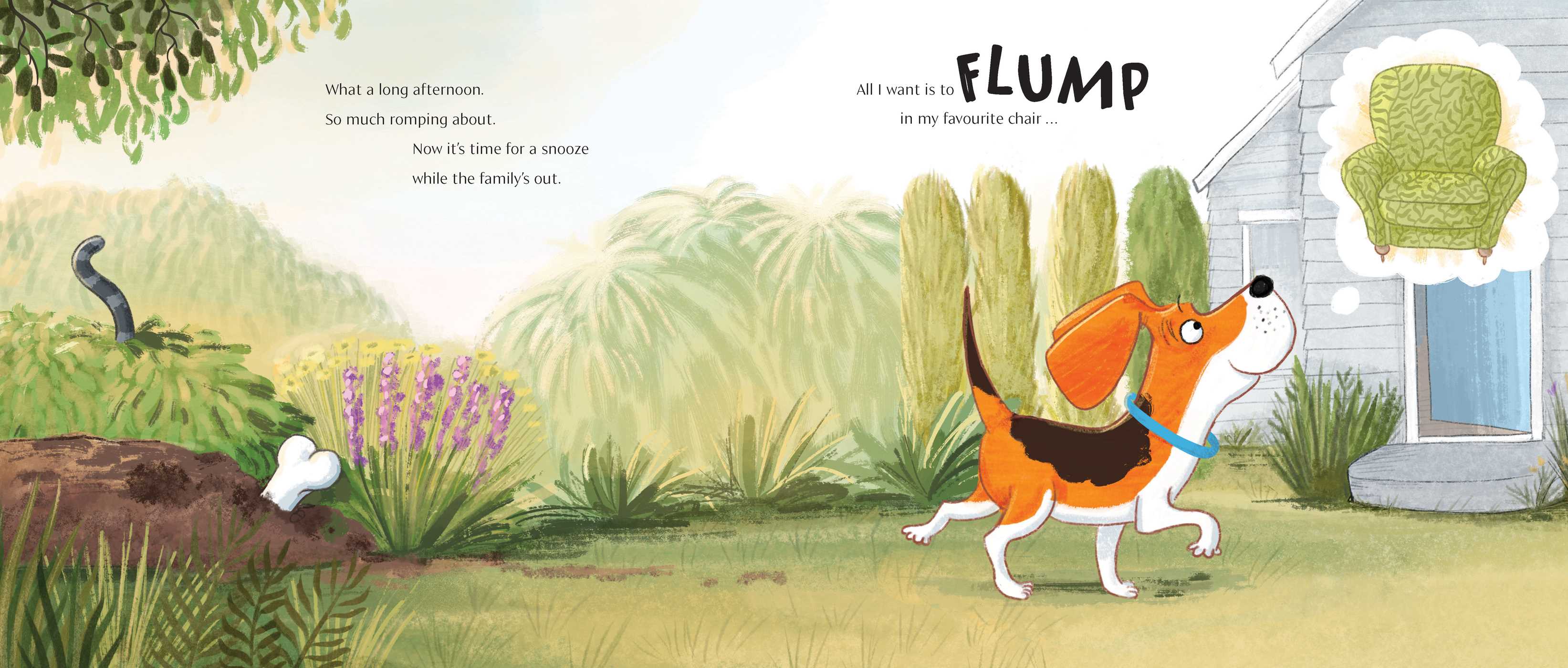 Too Many Cats! by Maura Finn | 9781922711410 | Booktopia