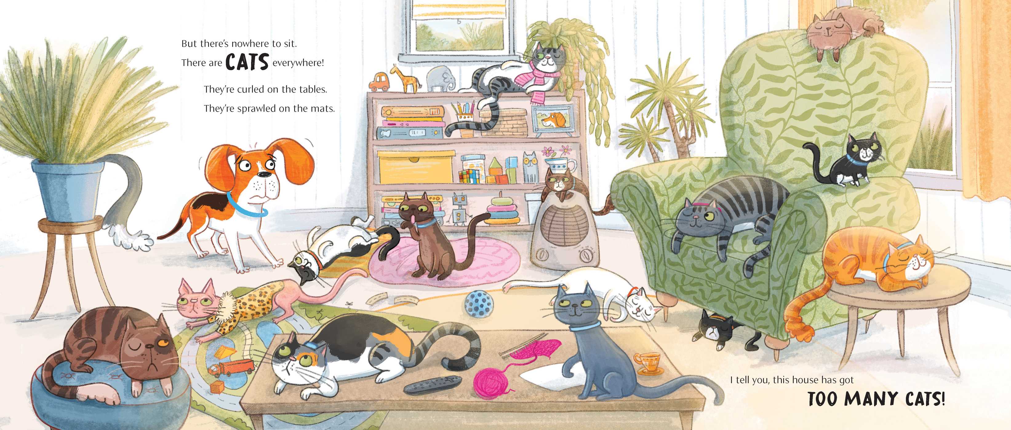 Too Many Cats! by Maura Finn | 9781922711410 | Booktopia