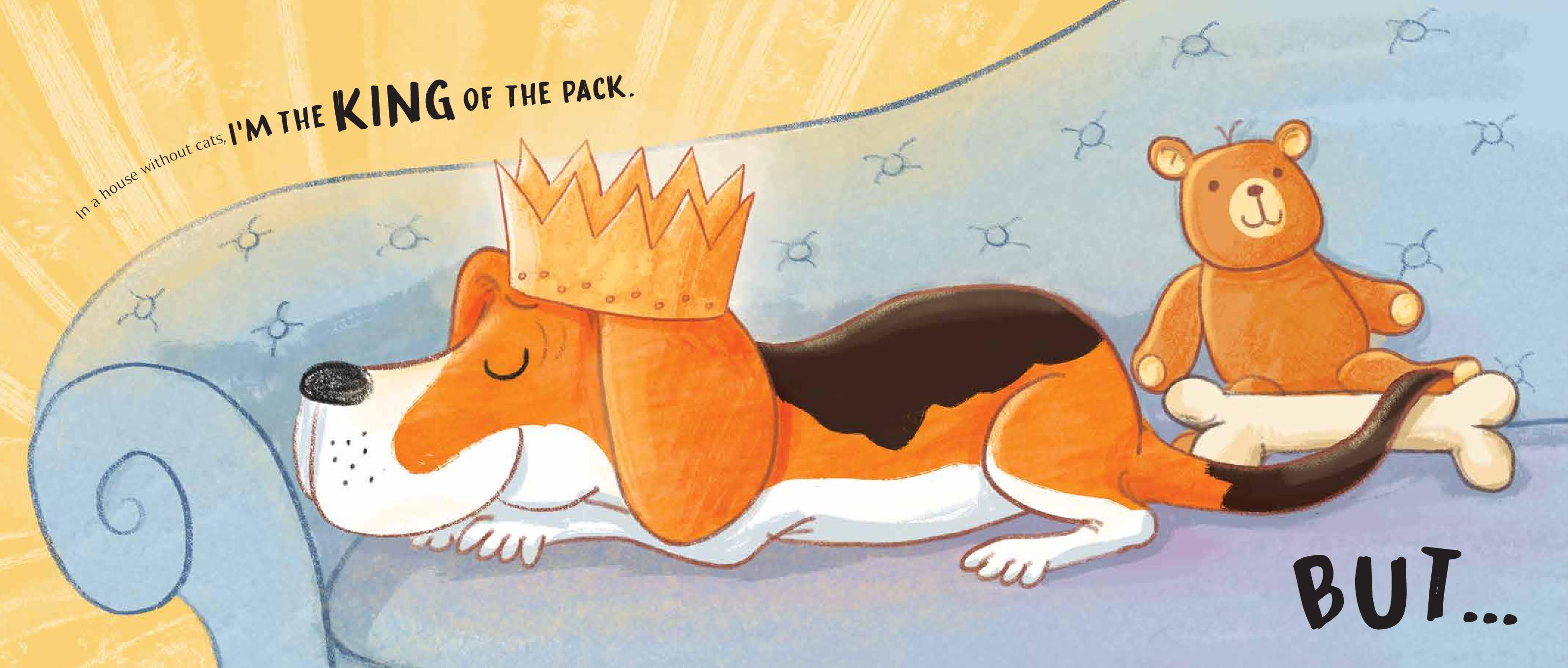 Too Many Cats! by Maura Finn | 9781922711410 | Booktopia