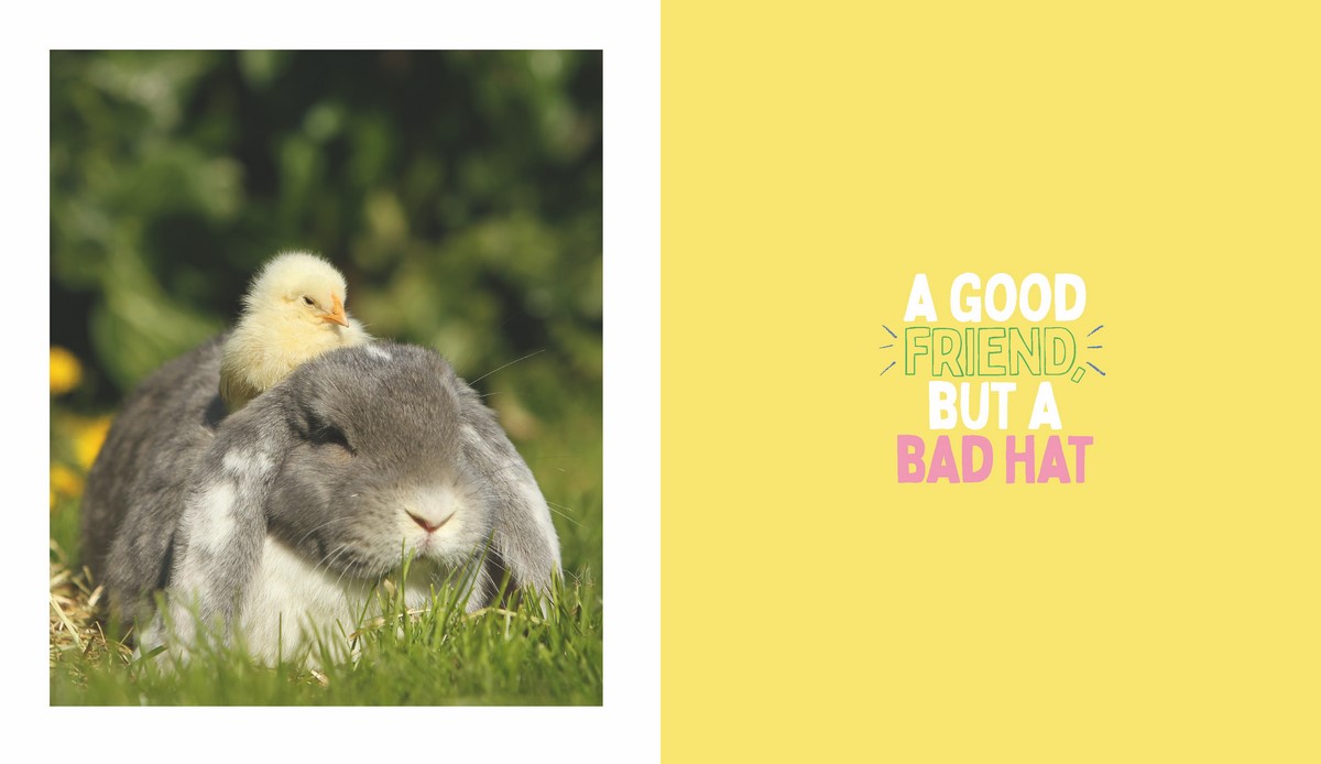 Animal Pals That Prove That Love Is Real by Smith Street Books ...