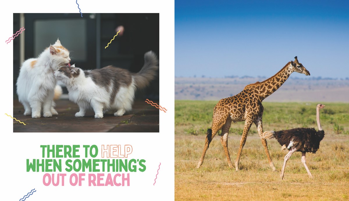 Animal Pals That Prove That Love Is Real by Smith Street Books ...