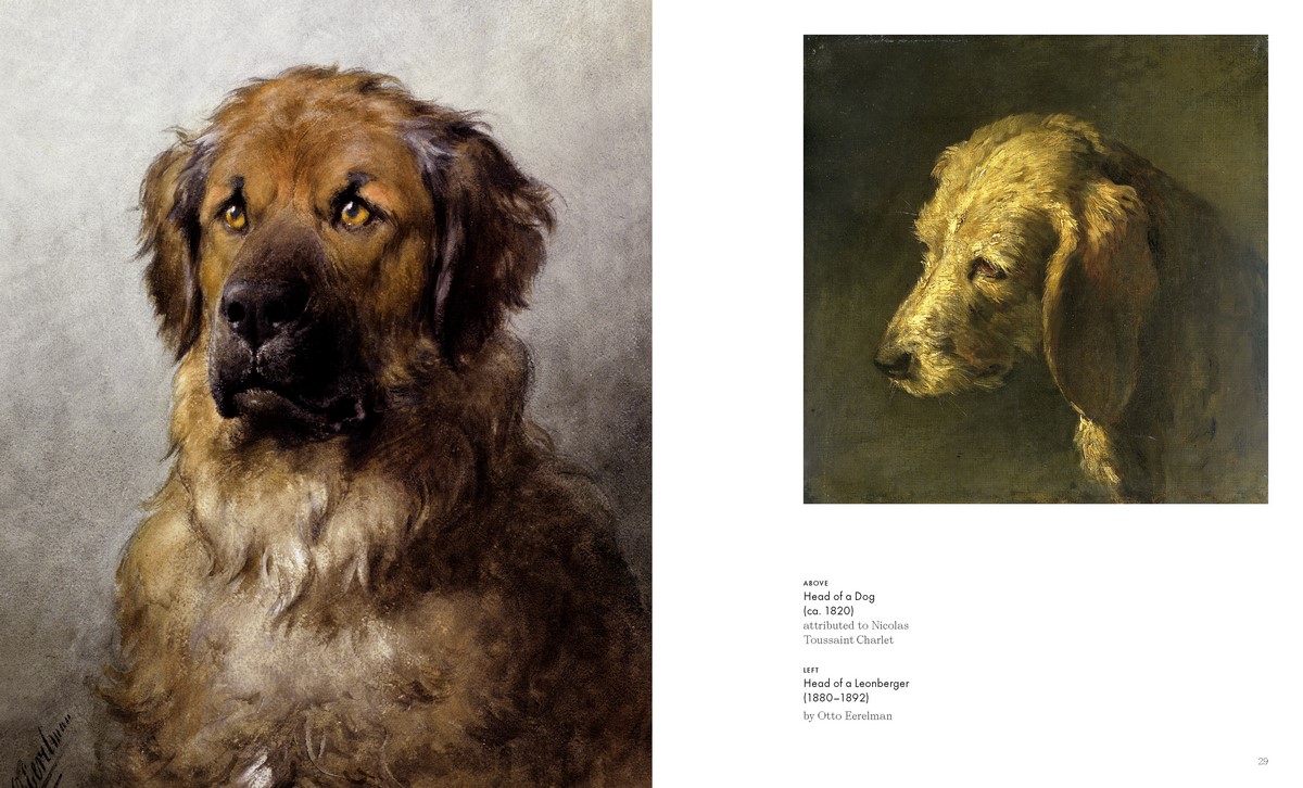 Art Dog, Clever Canines of the Art World by Smith Street Books ...