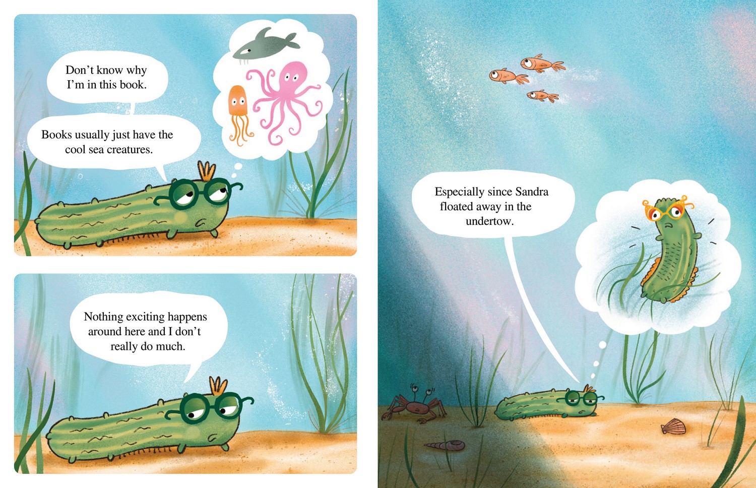 Neil, The Amazing Sea Cucumber by Amelia McInerney | 9781922848635 ...
