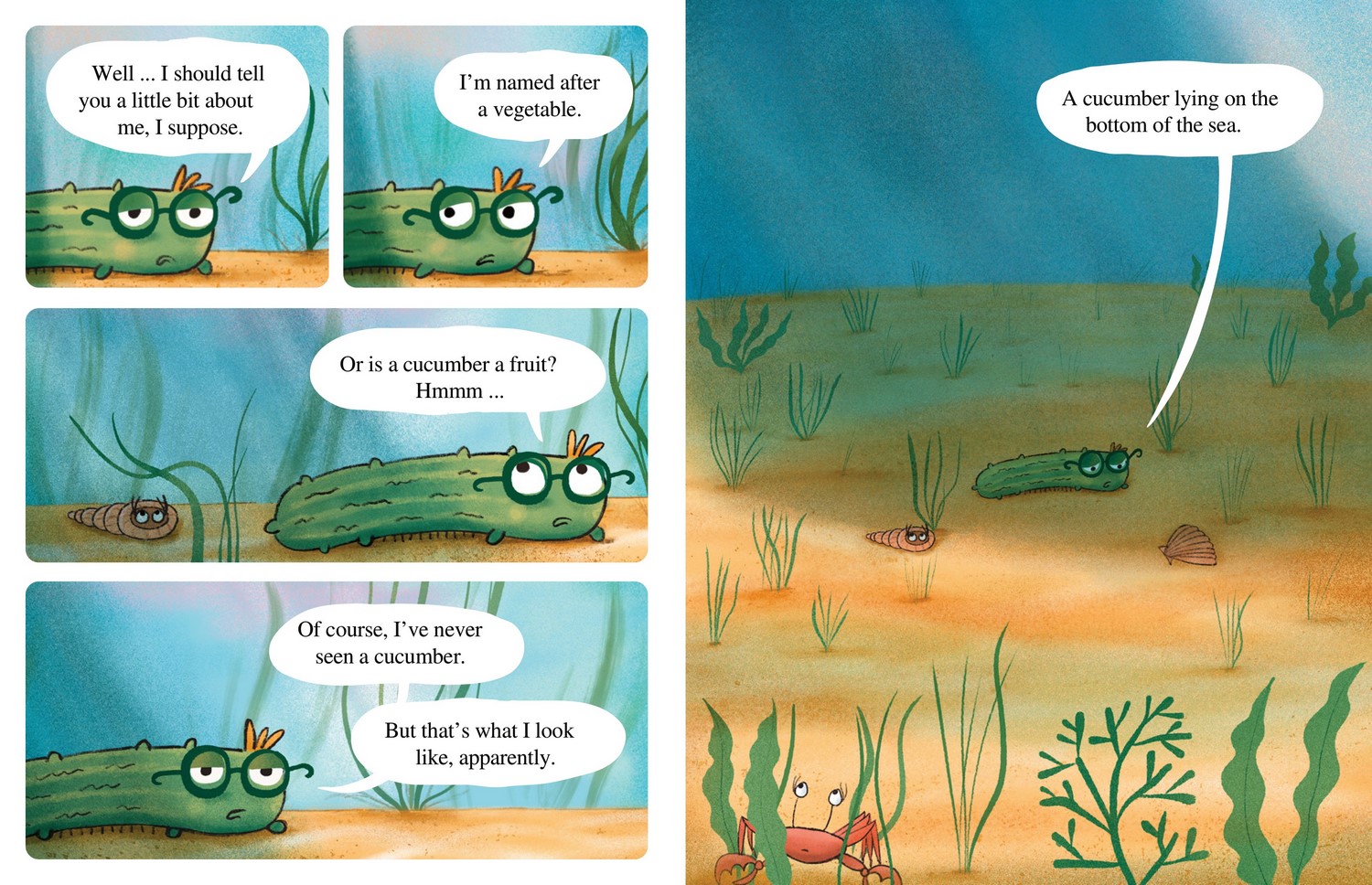 Neil, The Amazing Sea Cucumber by Amelia McInerney | 9781922848635 ...