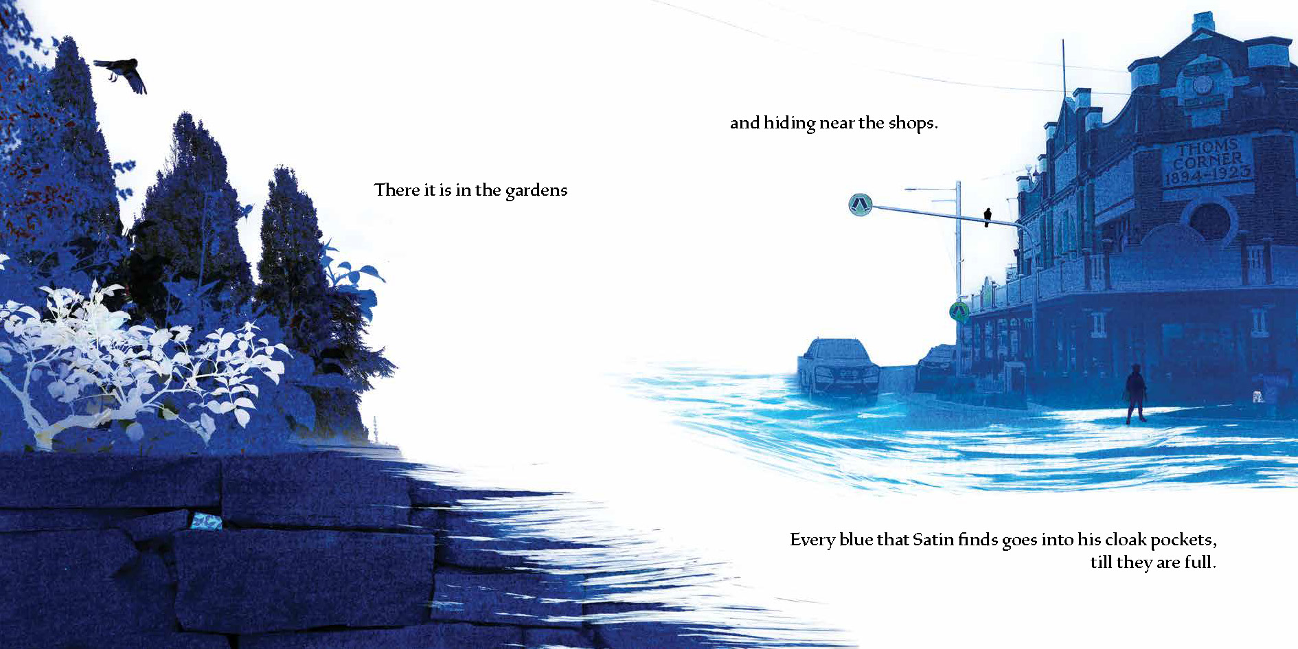 Satin by Sophie Masson | 9781922858016 | Booktopia