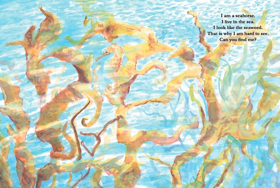 Can You Find Me? by Gordon Winch | 9781925059793 | Booktopia