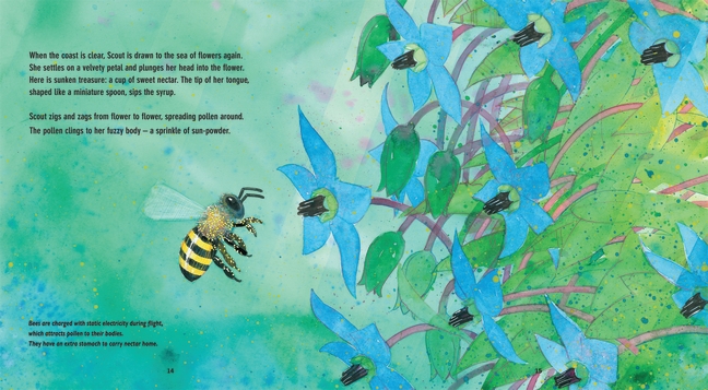 Flight of the Honey Bee, Nature Storybooks by Raymond Huber ...