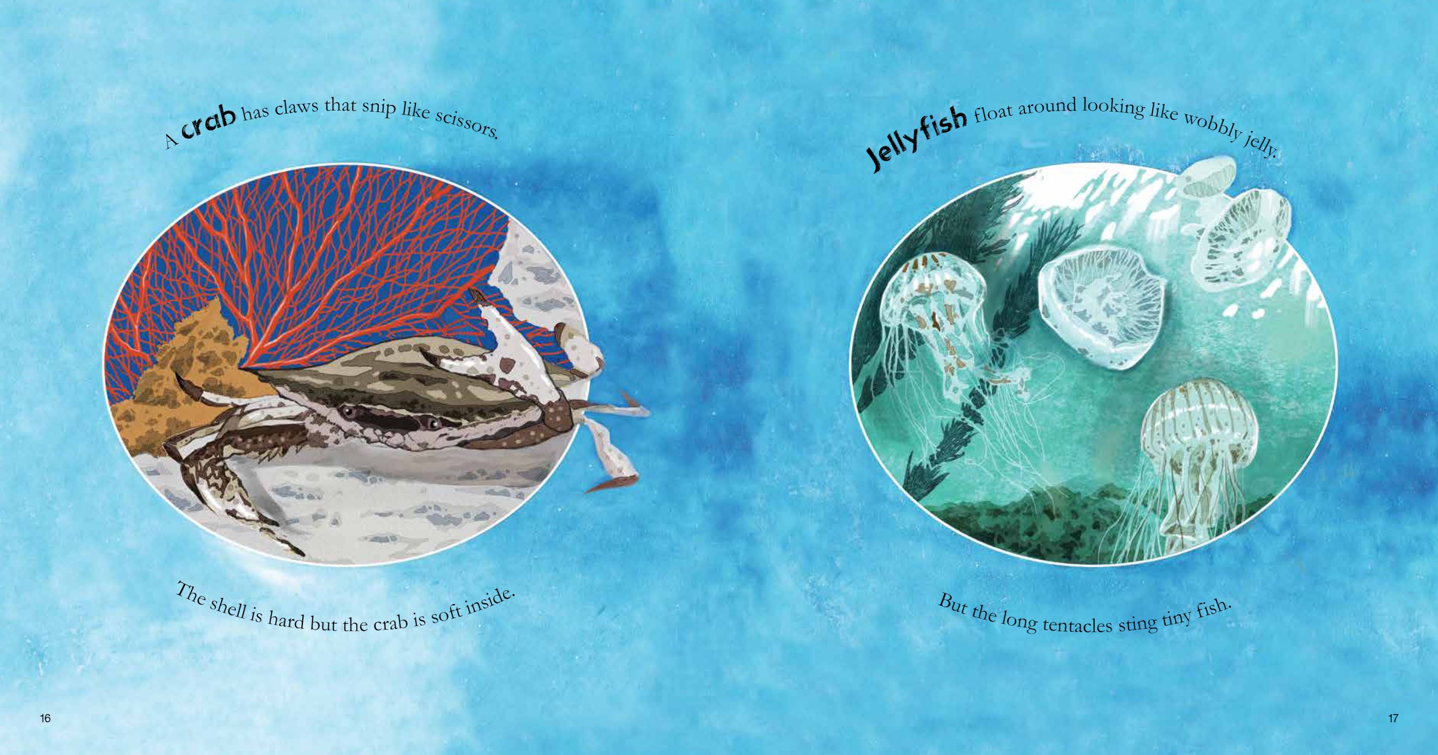 What Lives in the Sea?: Marine Life, Science Storybooks by Rin Bo ...