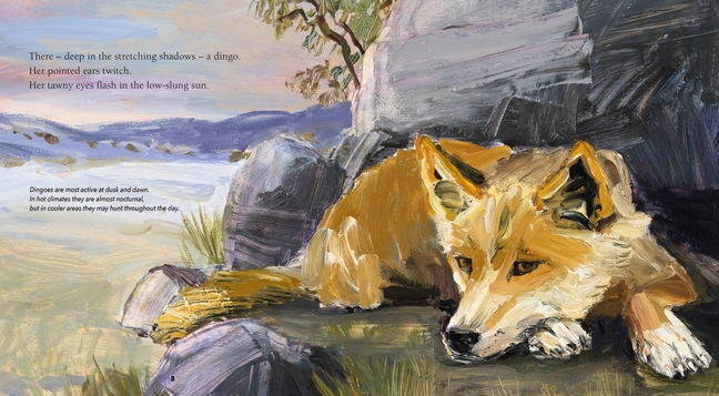 Dingo, Nature Storybooks by Claire Saxby | 9781925381283 | Booktopia