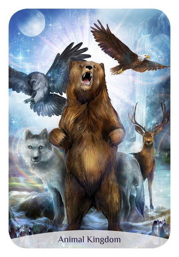 Sacred Power Reading Cards by Anna Stark | Transformative guidance for ...