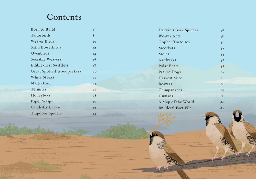 We Build Our Homes by Laura Knowles | 9781925695229 | Booktopia