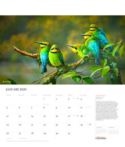 Australian Geographic - Art Calendar 2020 , 2020 Wall Calendar (Artwork ...