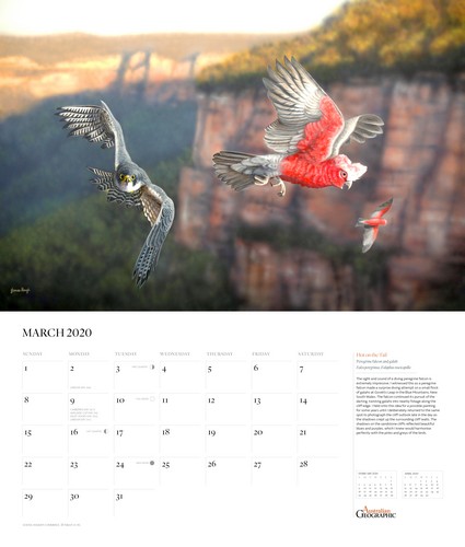 Australian Geographic - Art Calendar 2020 , 2020 Wall Calendar (Artwork ...