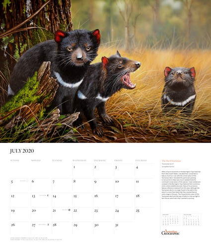 Australian Geographic - Art Calendar 2020 , 2020 Wall Calendar (Artwork ...