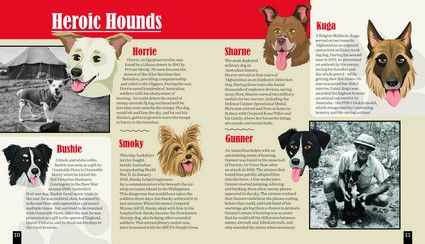 Awesome Aussie Dogs by Australian Geographic | 9781925847581 | Booktopia