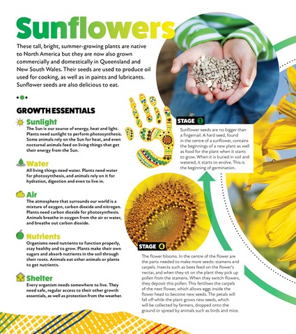 Deadly Science - Life Cycles - Book 3, DEADLY SCIENCE by Australian ...