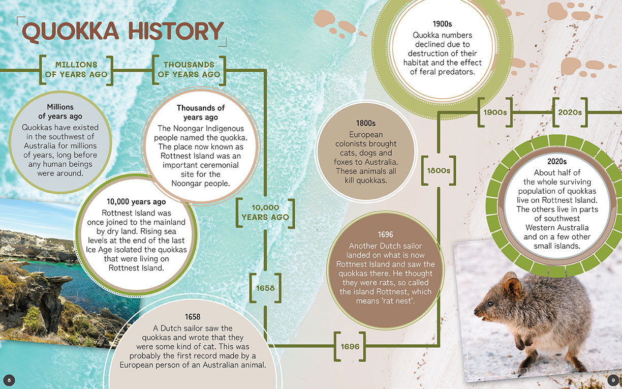 Quokka, Australia's Remarkable Wildlife by John Lesley | 9781925860009 ...