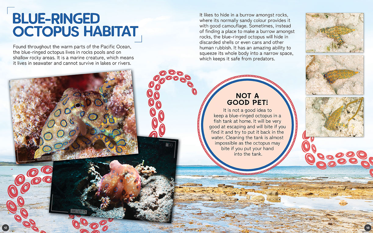 Blue-Ringed Octopus, Australia's Remarkable Wildlife by John Lesley ...