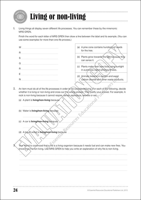 Differentiation in Science Made Easy Book 1, Worksheets at three levels ...