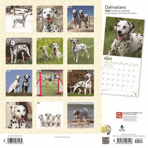 Dalmatians - 2020 Wall Calendar by Browntrout Publishers ...