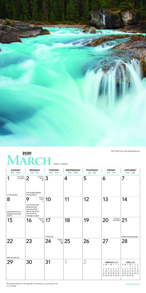 Inspiration - 2020 Mini Wall Calendar by Browntrout Publishers ...