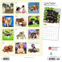 I Love Puppies - 2020 Wall Calendar by Browntrout Publishers ...