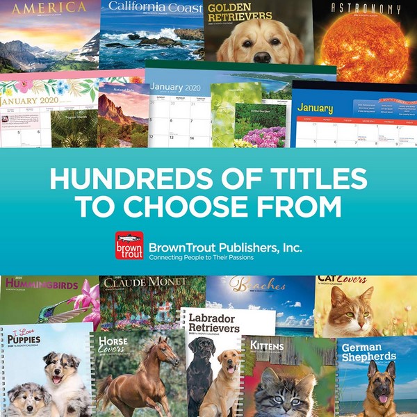 Welsh Corgis - 2020 Wall Calendar by Browntrout Publishers ...