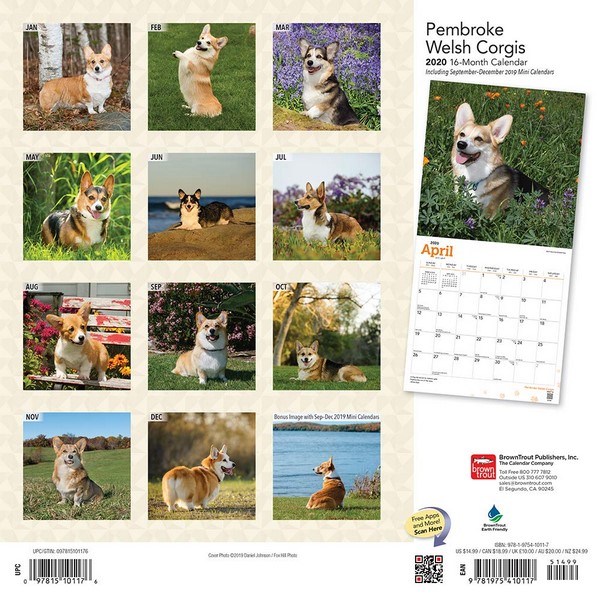 Welsh Corgis Pembroke 2020 Square Wall Calendar by Browntrout ...