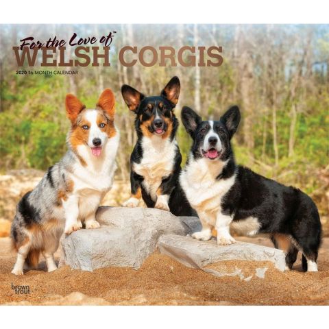 For the Love of Welsh Corgis 2020 Calendar, Foil Stamped Cover by ...