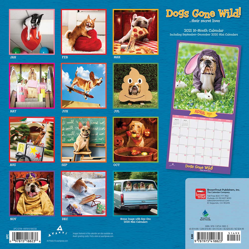 Avanti Dogs Gone Wild - 2021 Wall Calendar by Browntrout ...