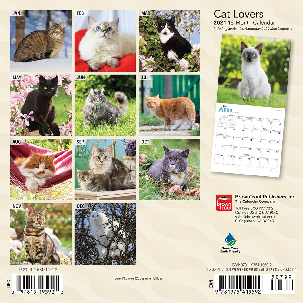 Cat Lovers - 2021 Mini Wall Calendar by Browntrout | 9781975419592 ...