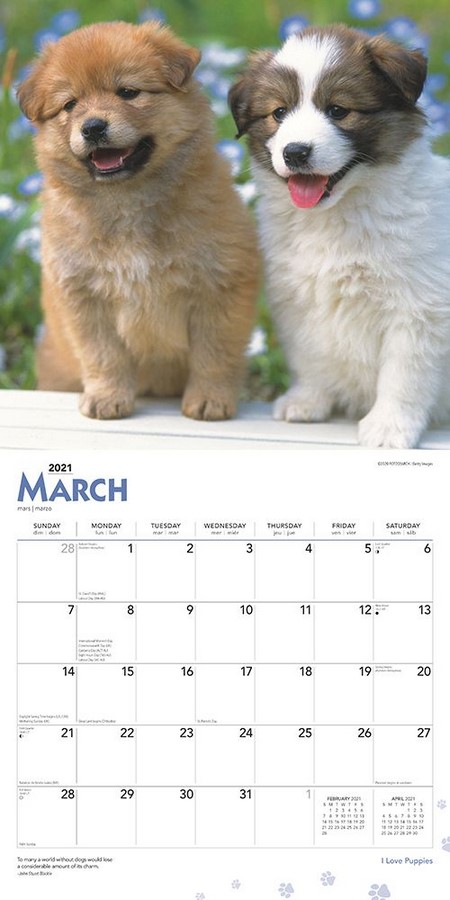Puppies, I Love - 2021 Wall Calendar by Browntrout | 9781975420888 ...