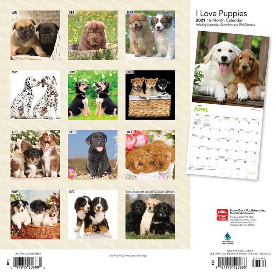 Puppies, I Love - 2021 Wall Calendar by Browntrout | 9781975420888 ...