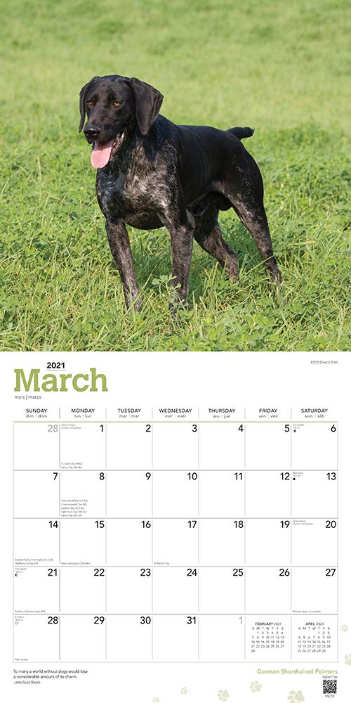 German Shorthaired Pointers - 2021 Wall Calendar by Browntrout ...