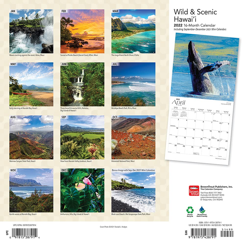 Hawaii - 2022 Wall Calendar, Wild & Scenic by Browntrout ...