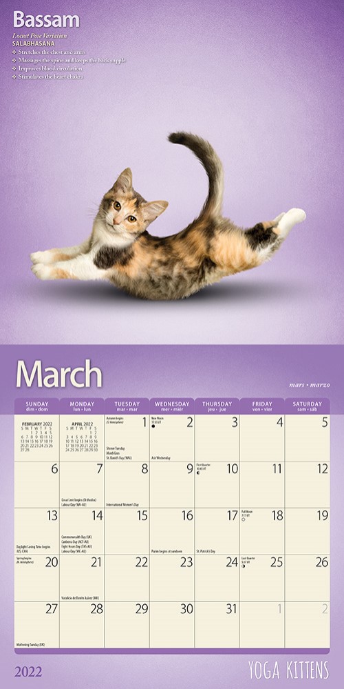 Yoga Kittens - 2022 Mini Wall Calendar, 16-Month Calendar by Browntrout ...