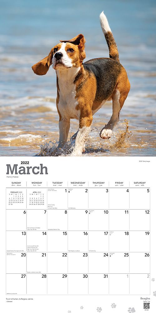 Beagles - 2022 Wall Calendar, Dog Breed Wall Calendar by Browntrout ...